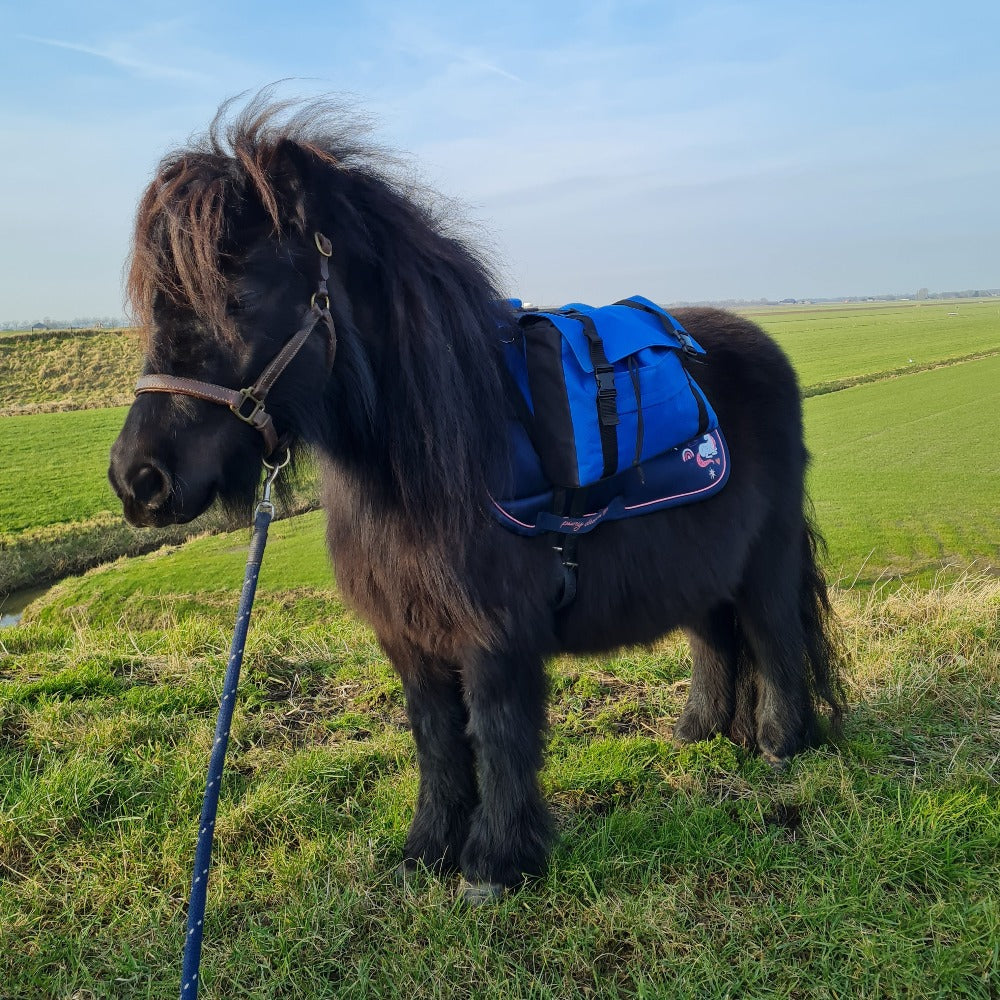 Equi-pack, pony backpack